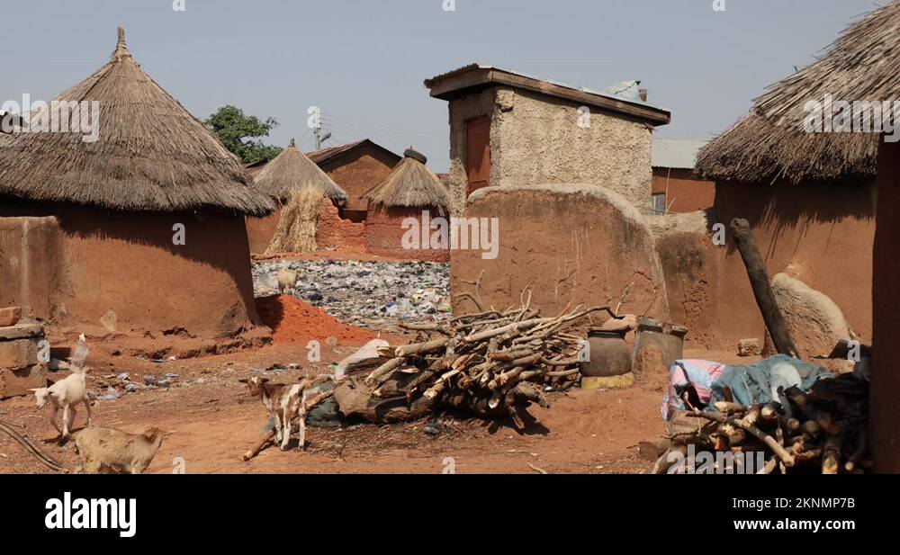 Gambaga village poverty mud homes animals Ghana 4K Stock Video Footage ...