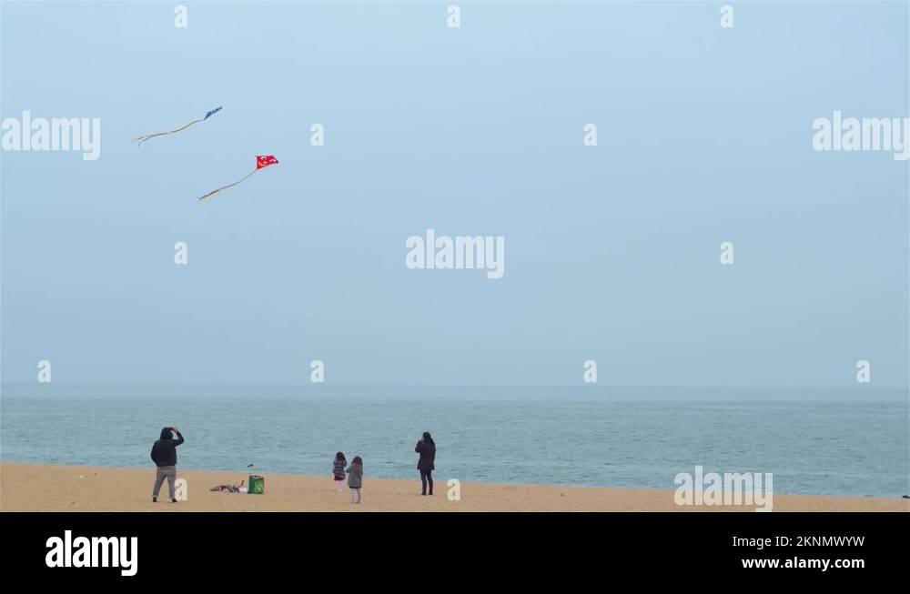 Family flying kites Stock Videos & Footage - HD and 4K Video Clips - Alamy