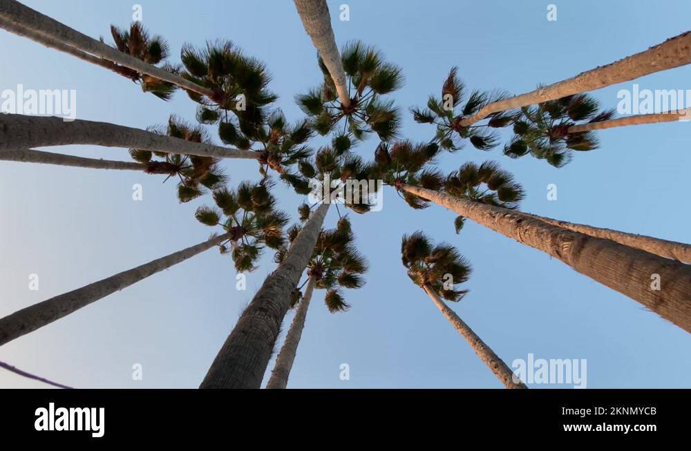 Wind rolling Stock Videos & Footage - HD and 4K Video Clips - Alamy