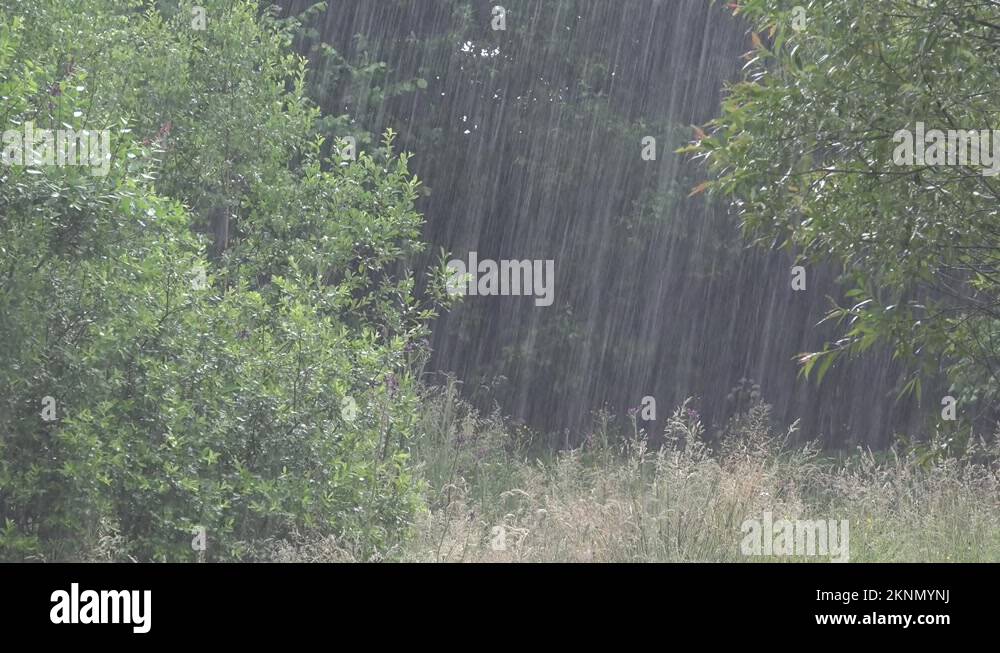 Bad weather flood flooding rain disaster Stock Videos & Footage - HD ...