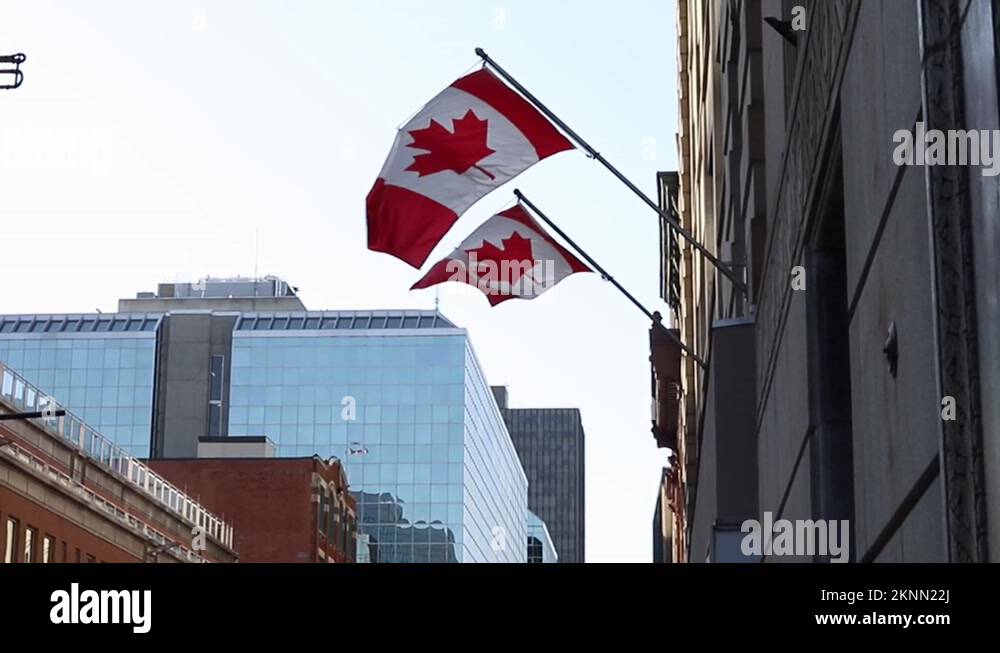 Ottawa canada canadian flags Stock Videos & Footage - HD and 4K Video Clips - Alamy