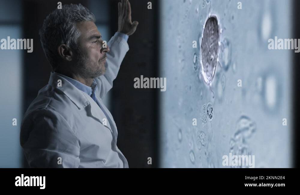 Artificial Insemination Sperm Stock Videos And Footage Hd And 4k Video