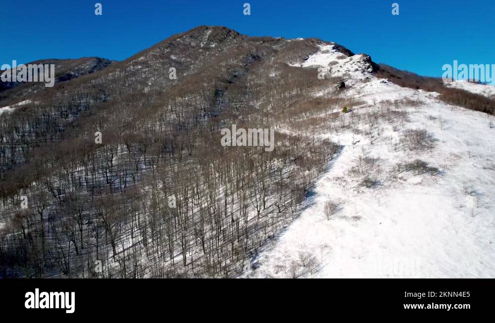 Snow snake Stock Videos & Footage - HD and 4K Video Clips - Alamy