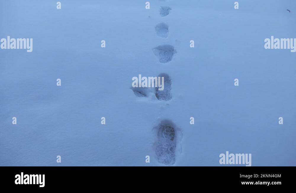 Walking boot prints Stock Videos & Footage - HD and 4K Video Clips - Alamy