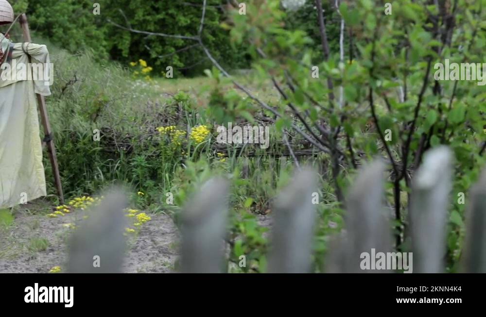 Old scarecrow Stock Videos & Footage - HD and 4K Video Clips - Alamy