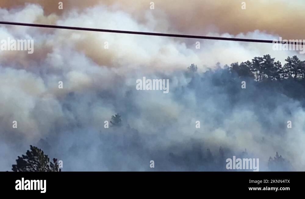 Dark wildfire smoke above forest Stock Videos & Footage - HD and 4K ...