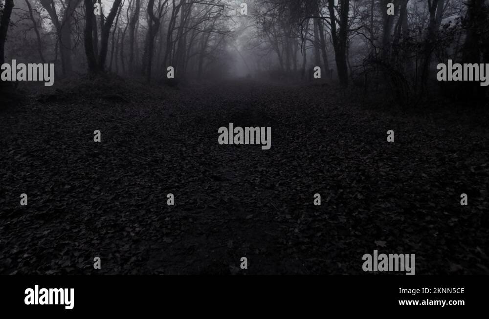 Trees pathway moody Stock Videos & Footage - HD and 4K Video Clips - Alamy