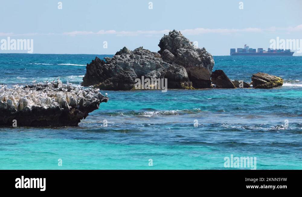 Shipping container ship and seabirds seen from Rottnest Island. Perth ...