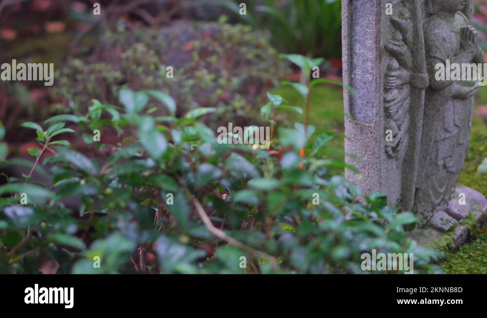 Statues in nature Stock Videos & Footage - HD and 4K Video Clips - Alamy