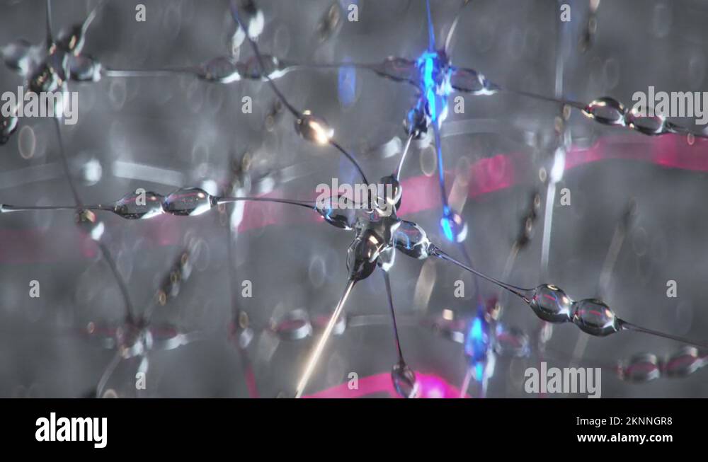 Excitable Stock Videos & Footage - HD and 4K Video Clips - Alamy