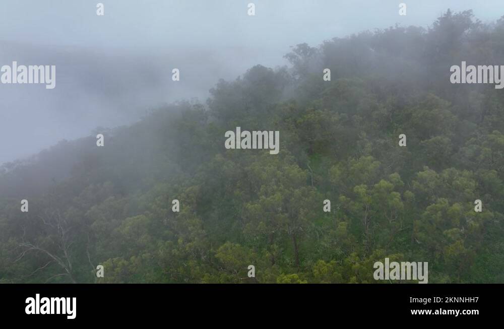 Stunning rain forest Stock Videos & Footage - HD and 4K Video Clips - Alamy