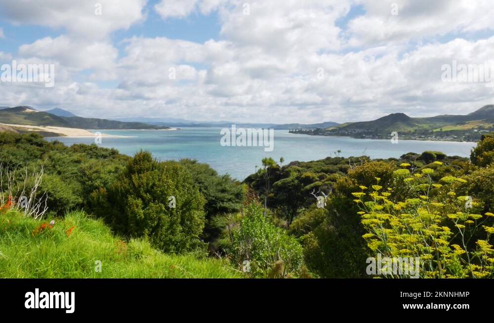 Vegetated dunes Stock Videos & Footage - HD and 4K Video Clips - Alamy