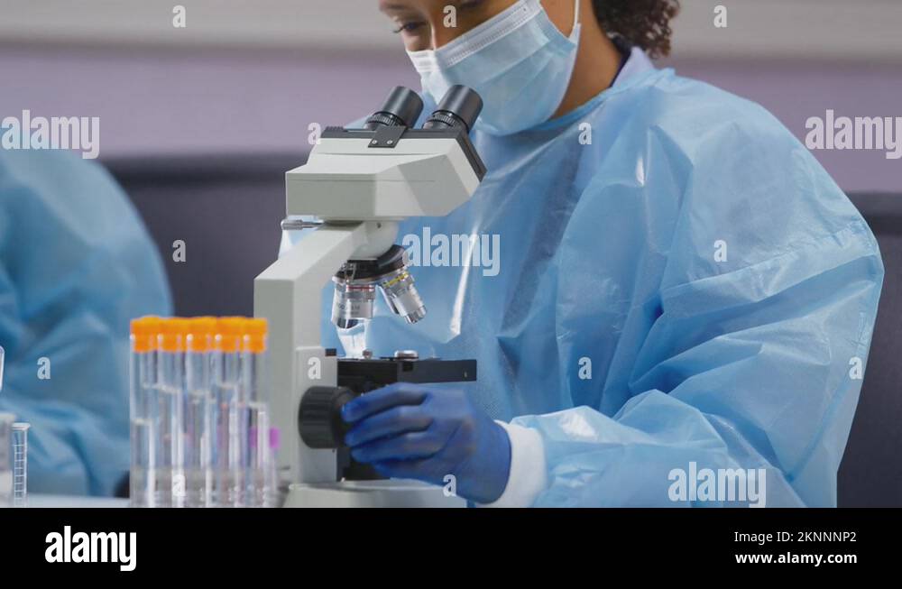 Female Lab Worker Wearing PPE Analysing Slide And Focusing Microscope ...