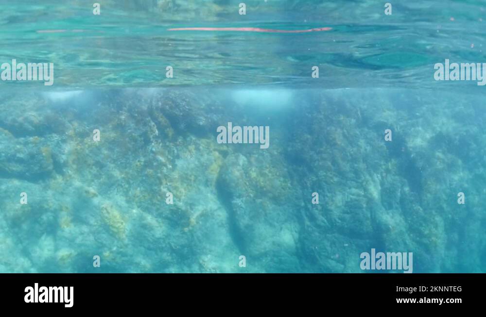 Bubble view Stock Videos & Footage - HD and 4K Video Clips - Alamy