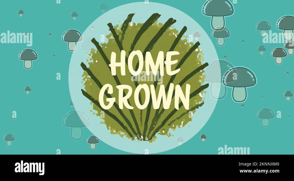 Mushroom banner Stock Videos & Footage - HD and 4K Video Clips - Alamy