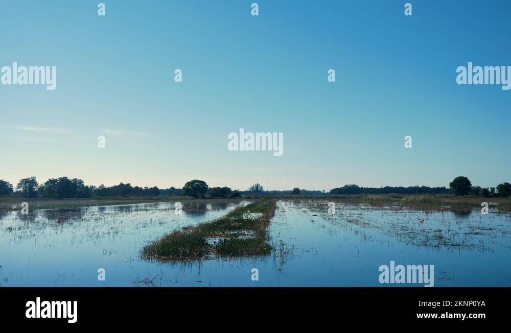 Sky well Stock Videos & Footage - HD and 4K Video Clips - Alamy