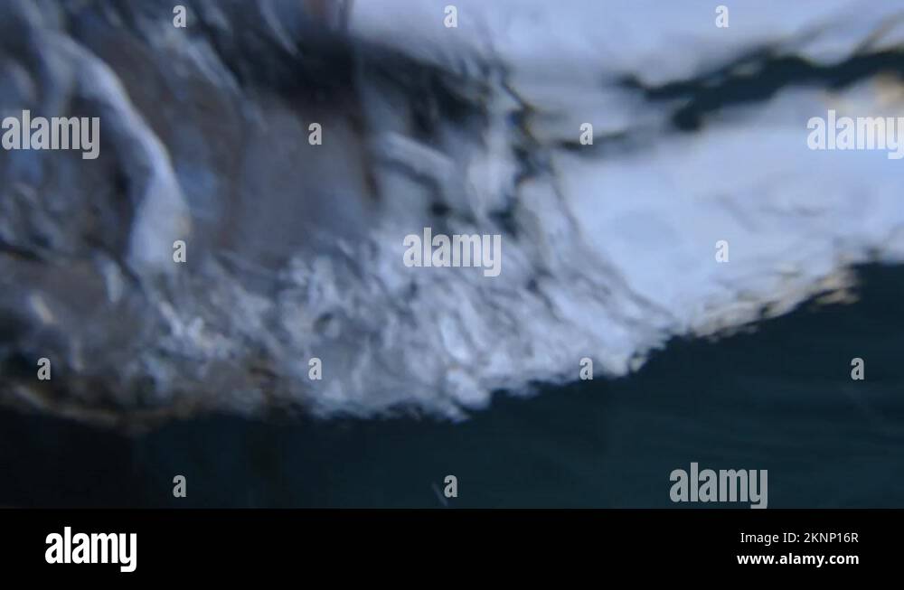 Scuba diver descends ladder on dive boat research vessel, entering deep ...