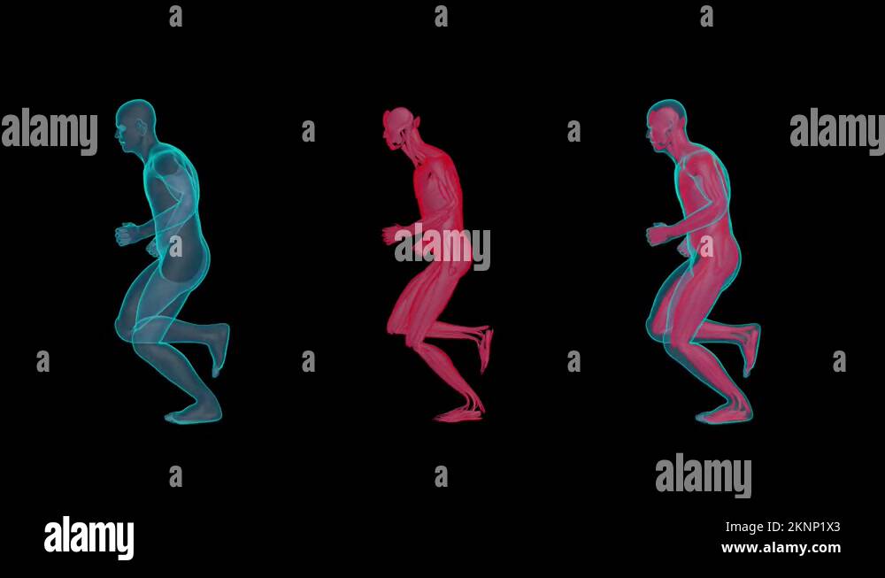 Human Running in X-Ray with Muscular System Stock Video Footage - Alamy