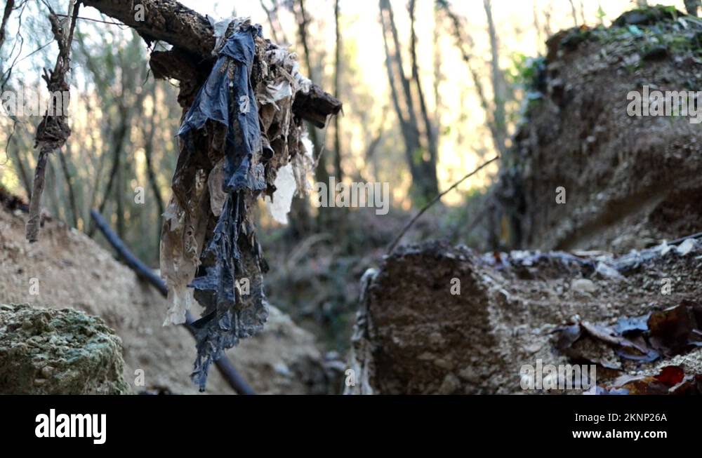 environmental pollution, garbage in a dry stream, old wastes flutter in ...