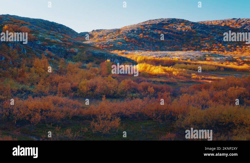 Tundra arctic landscape Stock Videos & Footage - HD and 4K Video Clips ...