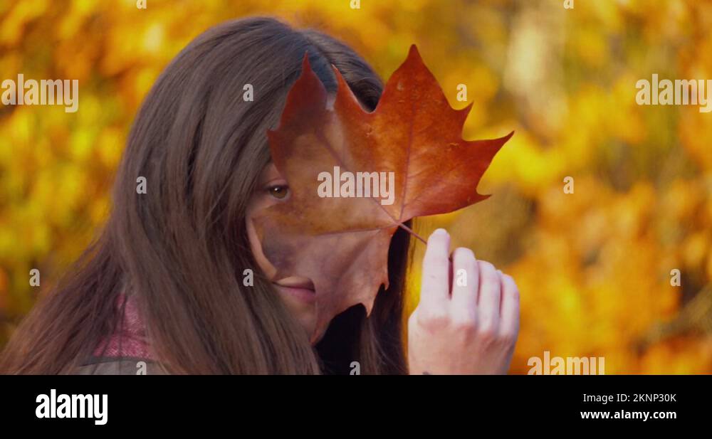 Striking stunning colours Stock Videos & Footage - HD and 4K Video ...