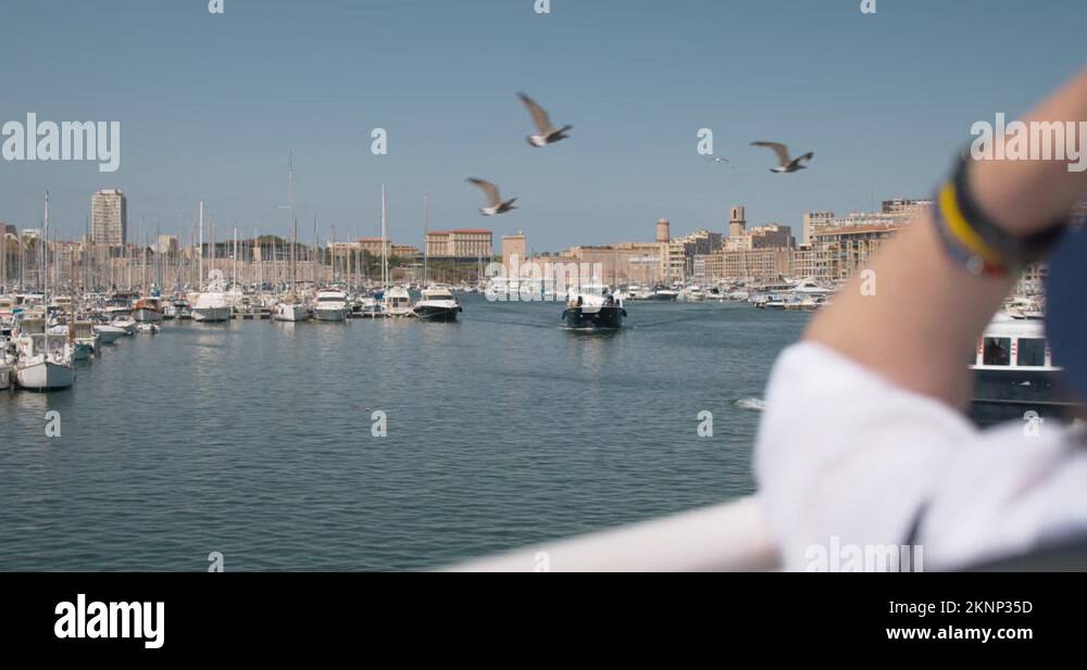 Summery harbour city scene with birds flying past and beautiful blue ...