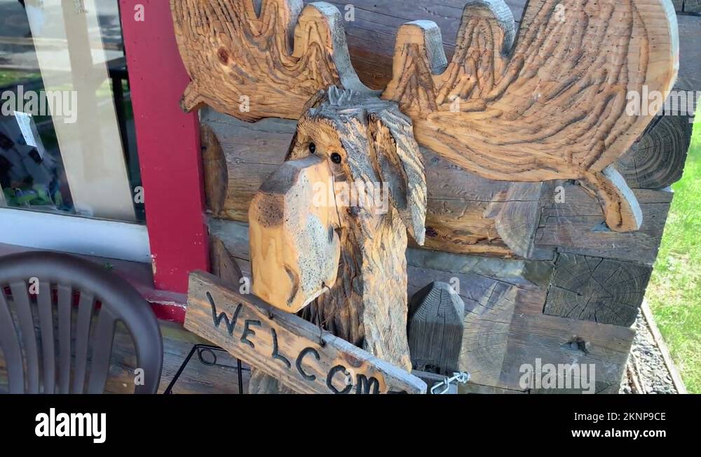 Moose sign Stock Videos & Footage - HD and 4K Video Clips - Alamy