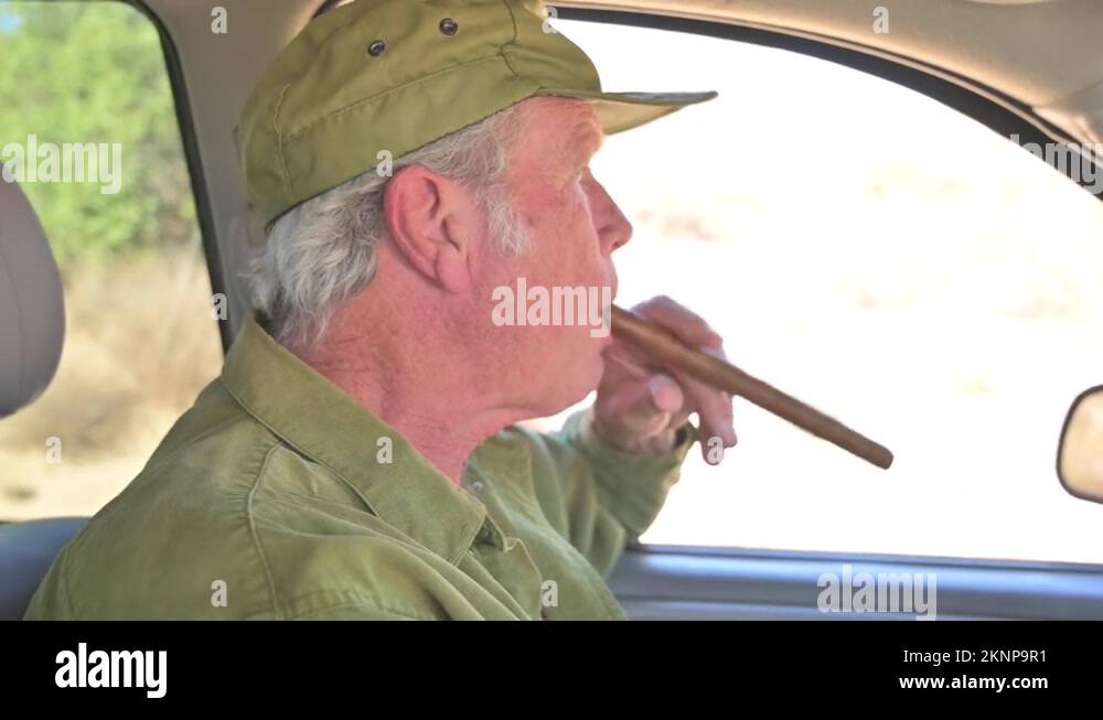 Man cigar car Stock Videos & Footage - HD and 4K Video Clips - Alamy