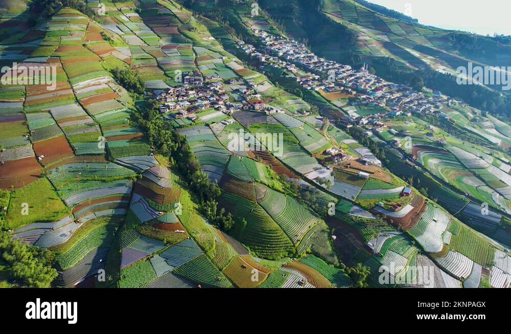 Nepal environment Stock Videos & Footage - HD and 4K Video Clips - Alamy