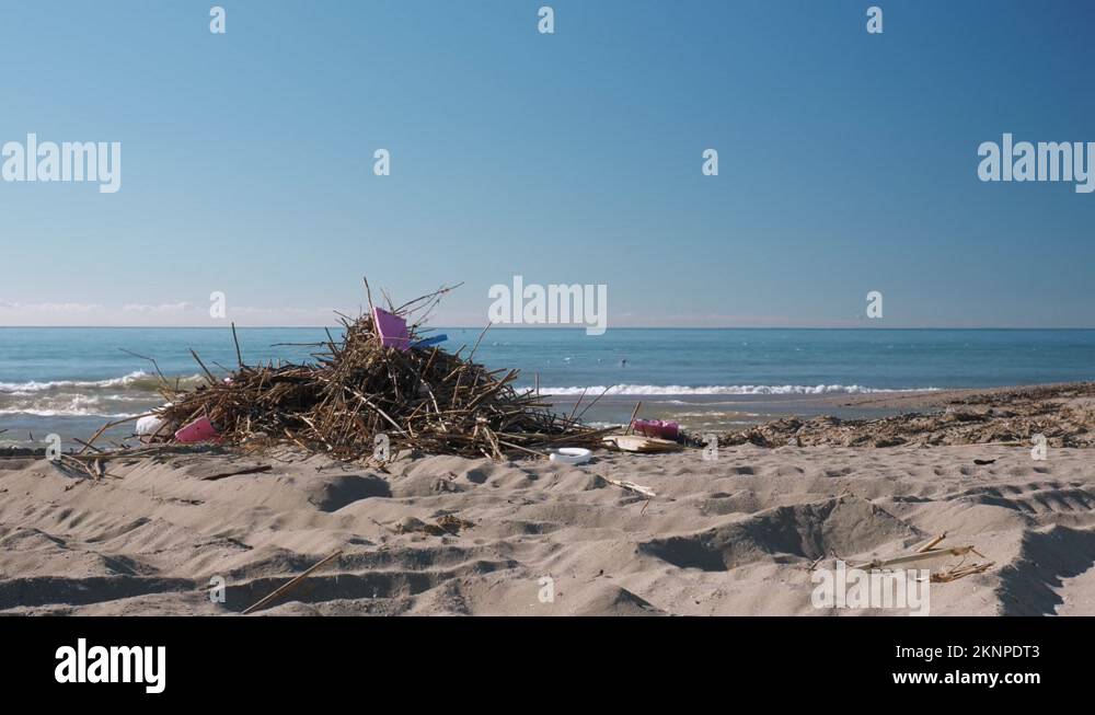 Garbage, plastic trash and tree debris lying on sandy beach after ...