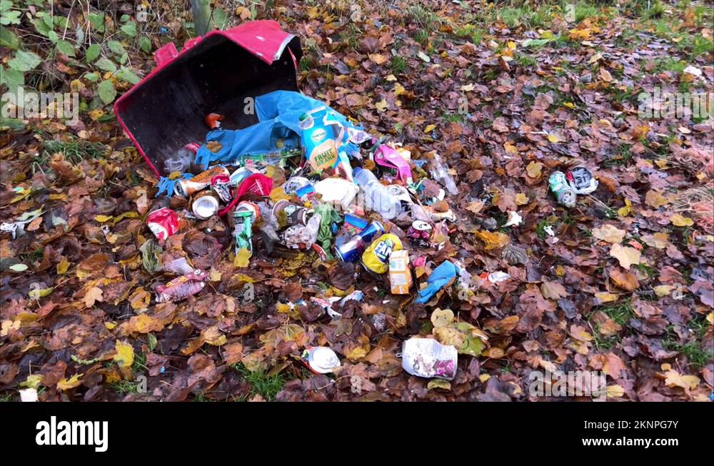 Green waste bin littering clean Stock Videos & Footage - HD and 4K ...