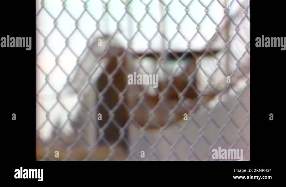 Exterior prison gates Stock Videos & Footage - HD and 4K Video Clips ...