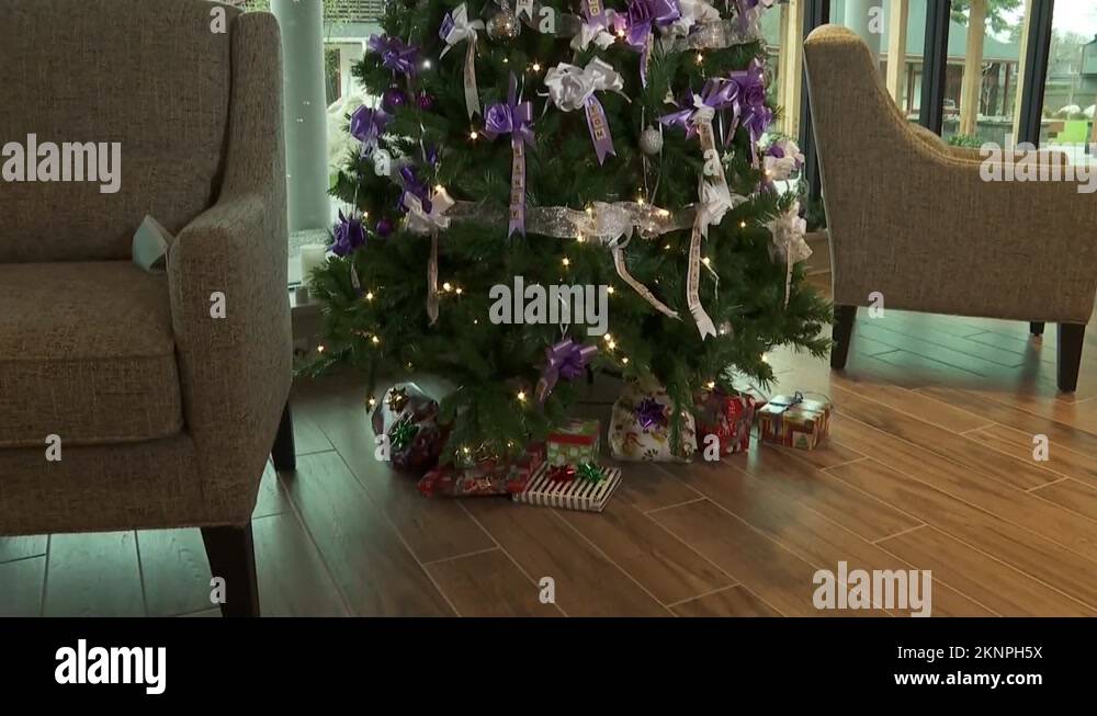 Retirement tree Stock Videos & Footage - HD and 4K Video Clips - Alamy