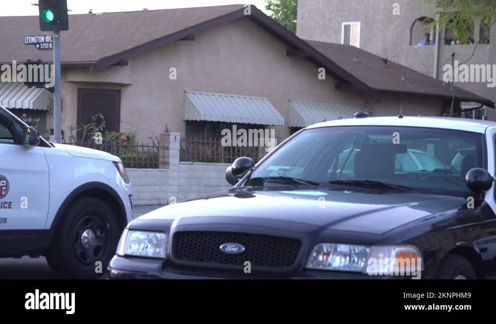 Crime scene officers Stock Videos & Footage - HD and 4K Video Clips - Alamy