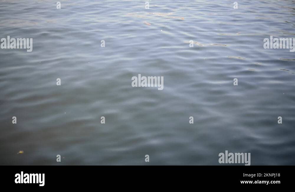 Peace peaceful serene tranquil movement Stock Videos & Footage - HD and ...