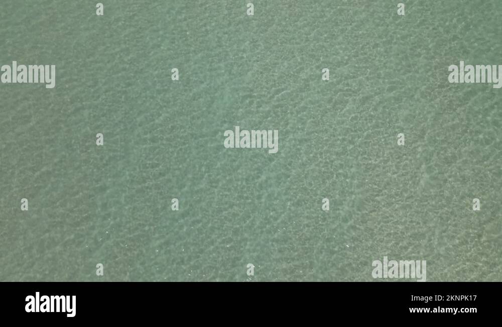 Shallow green water Stock Videos & Footage - HD and 4K Video Clips - Alamy