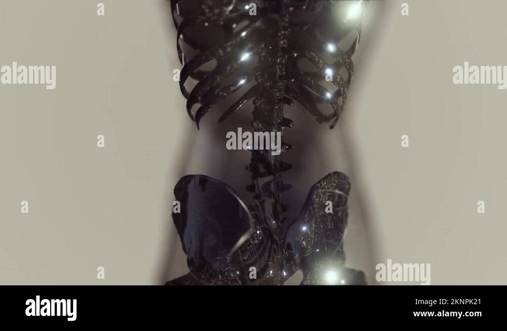 transparent human body with visible skeletal bones Stock Video Footage ...