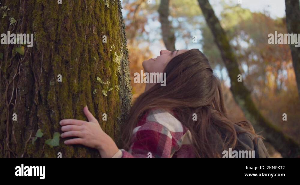 Young girl hugging tree Stock Videos & Footage - HD and 4K Video Clips ...