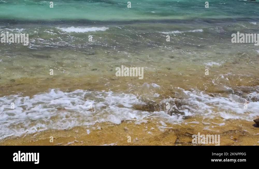 Coastal area of a coral reef during a storm. Coral beach under storm ...