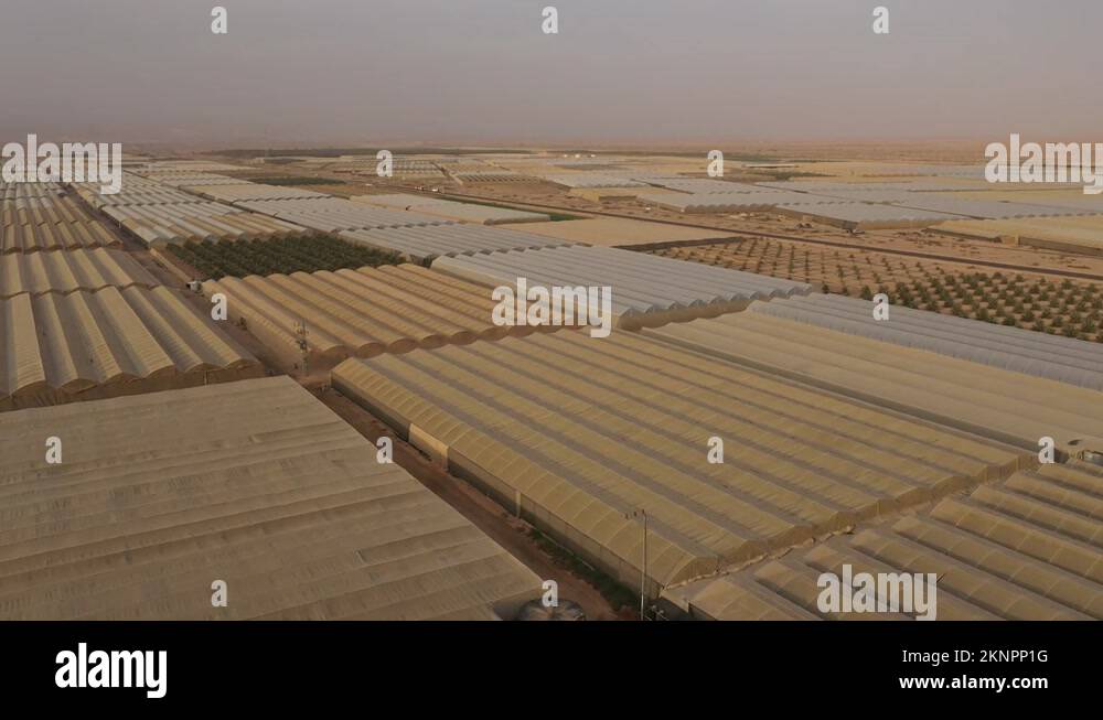 Negev desert agriculture