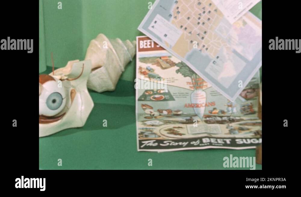 1950s: Anatomical models and posters sit on display in library. Flannel ...