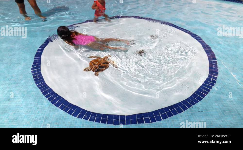 Cute girl swimming in shallow pool with image of turtles at the bottom ...