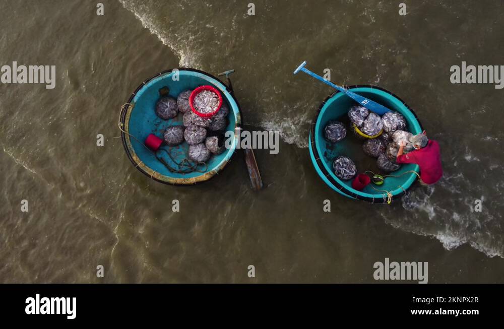 Early morning catch inside vietnamese traditional round coracle boats ...