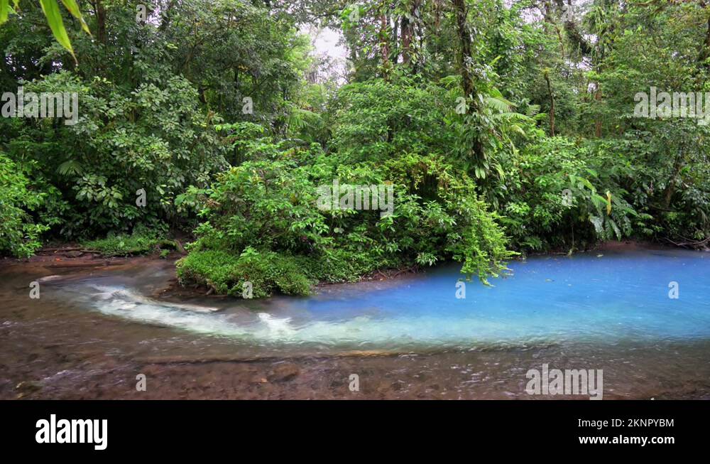 the confluence of two rivers the blue river Rio Celeste is formed Stock ...