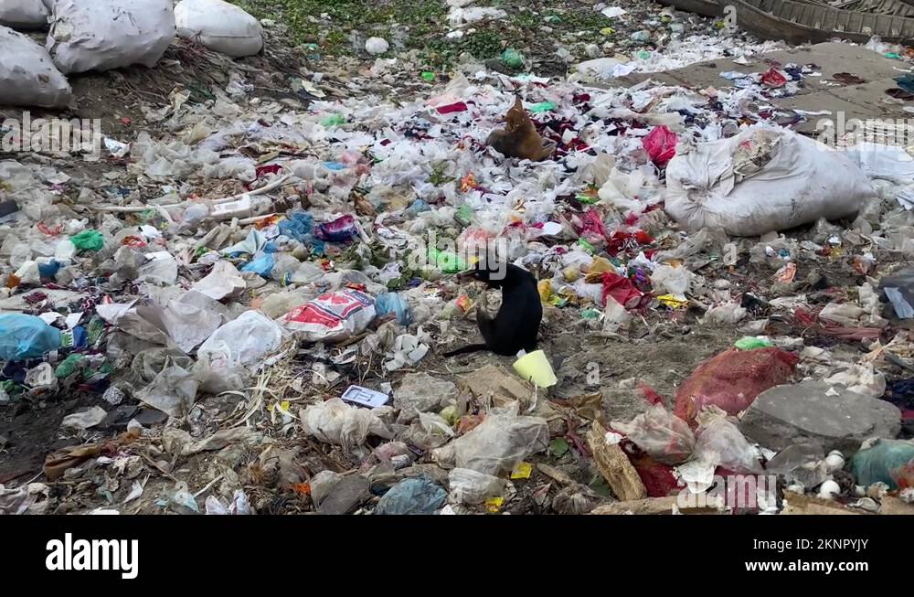Polythene pollution Stock Videos & Footage - HD and 4K Video Clips - Alamy