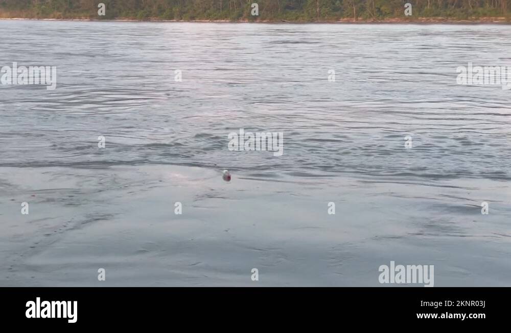 Plastic river india Stock Videos & Footage - HD and 4K Video Clips - Alamy