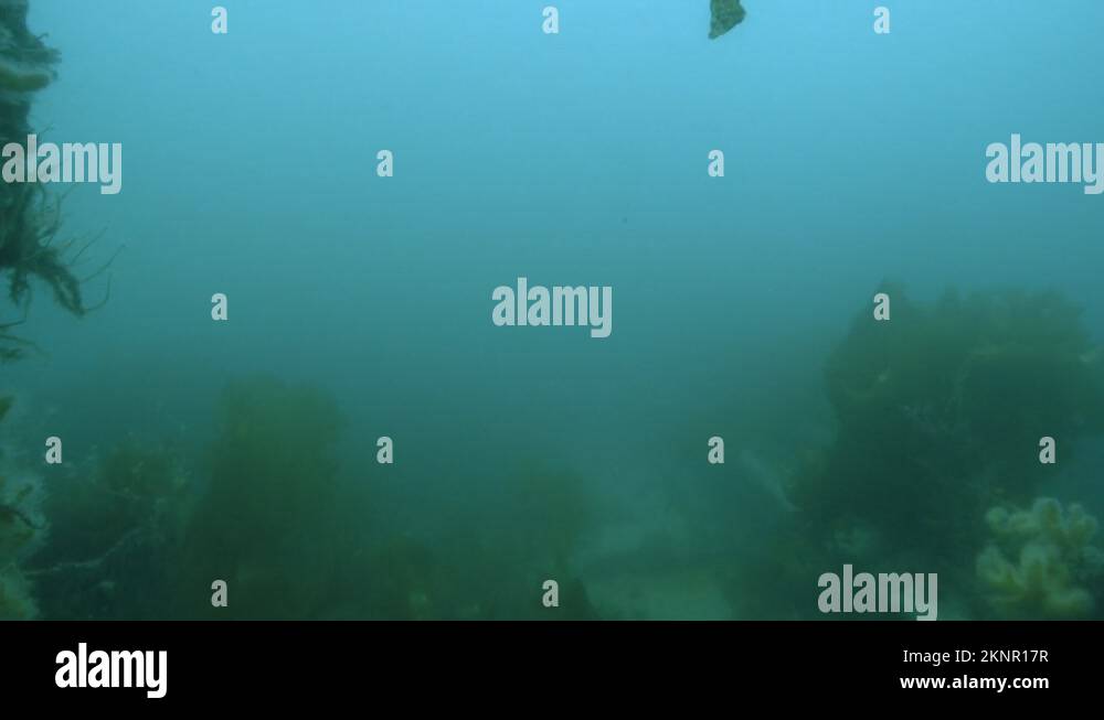 Deep sea scuba diver explores inside submerged ship wreck, pov point of ...