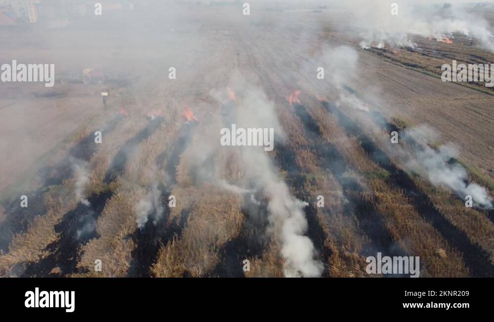 Air pollution from farming Stock Videos & Footage - HD and 4K Video ...