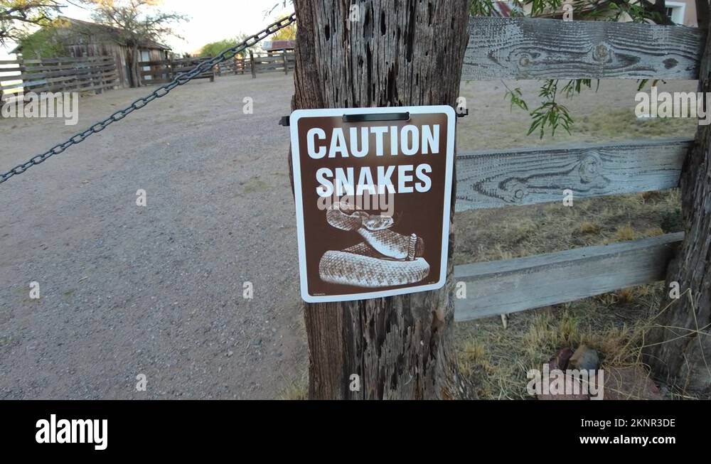 Venomous snakes sign Stock Videos & Footage - HD and 4K Video Clips - Alamy