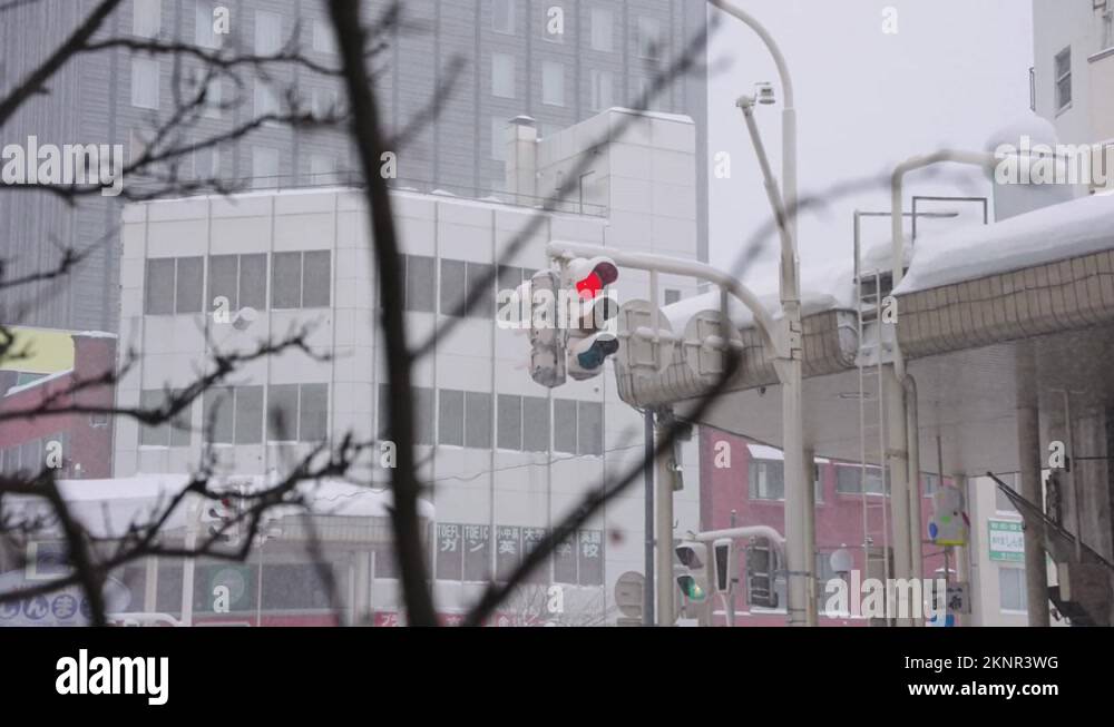 Japan traffic light Stock Videos & Footage - HD and 4K Video Clips - Alamy